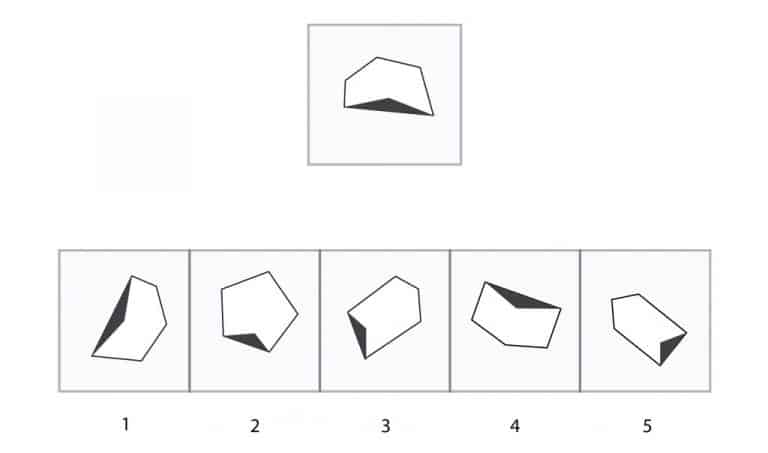 Free TSA Practice Test & Videos